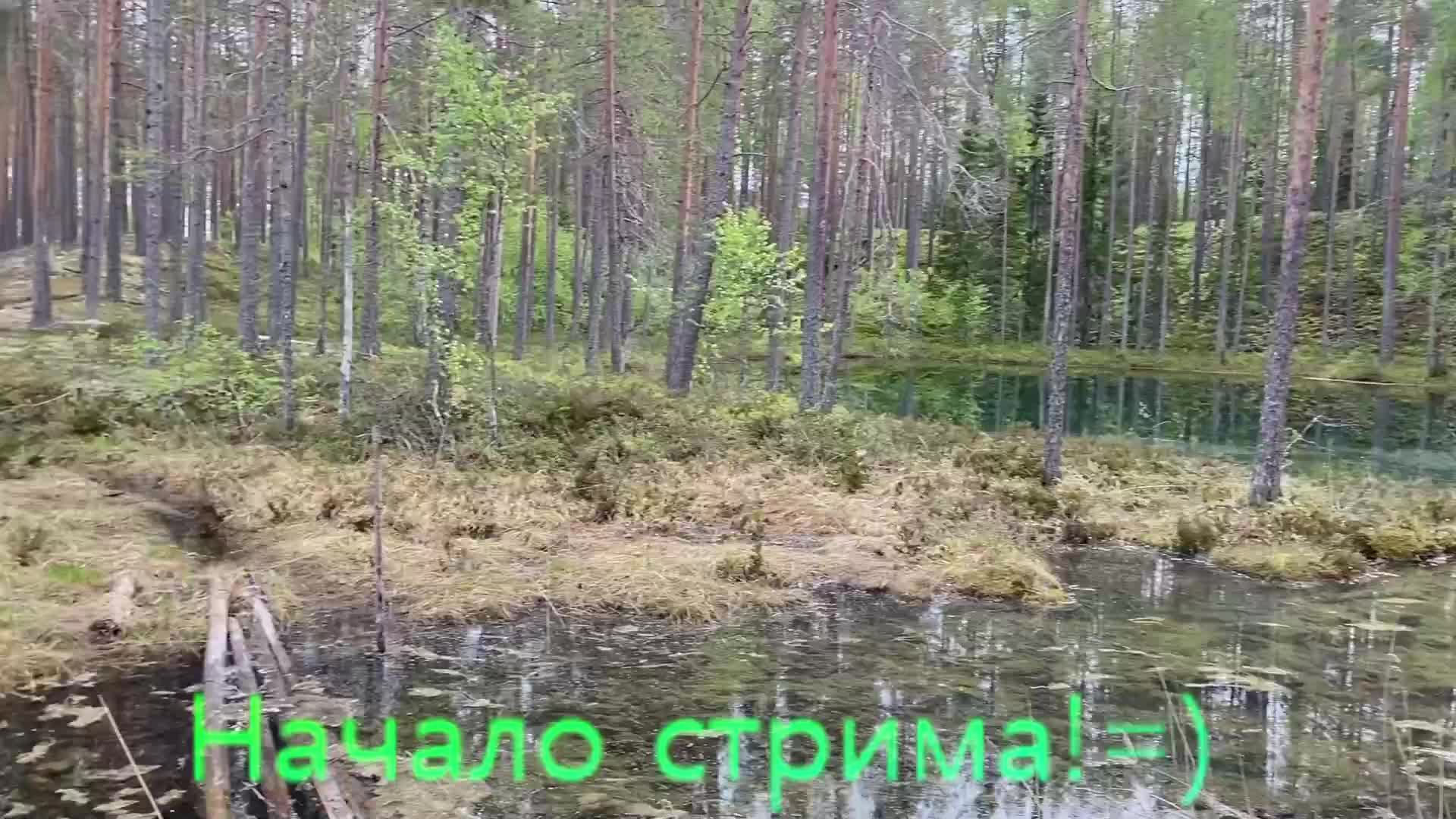 Farlight 84 пробираюсь с рандомами =)