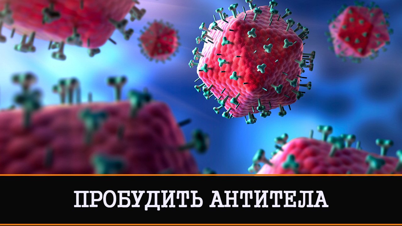 ПРОБУДИТЬ АНТИТЕЛА СПАСИТЕЛЬНЫЙ РИТУАЛ ДЛЯ ВСЕХ