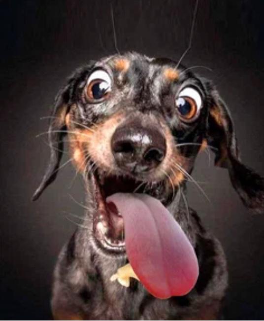 Песня галина