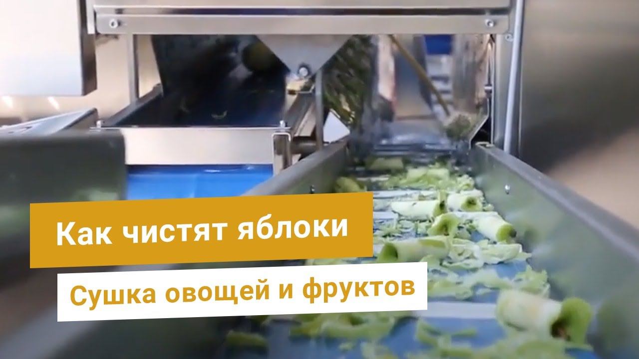 Подготовка к производству яблочных чипсов - оборудование для очистки и удаление сердцевины из яблок.