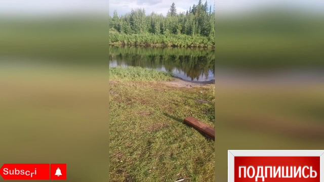 природа Якутии 1002052277.mp4