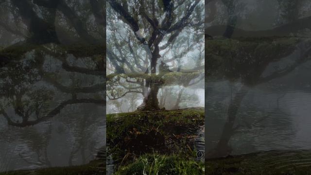 19-03-2024 природа , давно не было выпусков, работа :(, скоро будут новинки 🫡😉