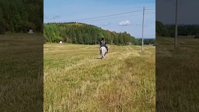 Яркие моменты - выпуск 1