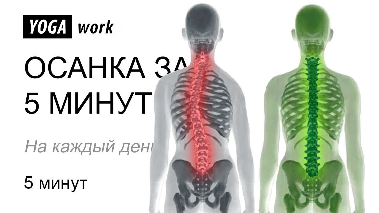 Упражнения для осанки