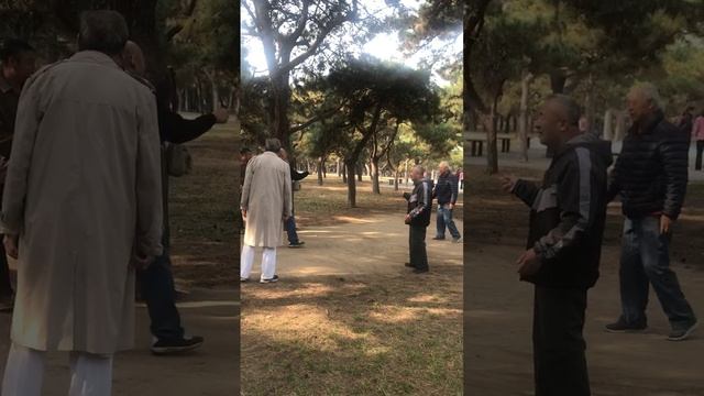 Мастера Хэ и Ли отыгрывают усилия Силового Внимания. IMG_9838.mp4