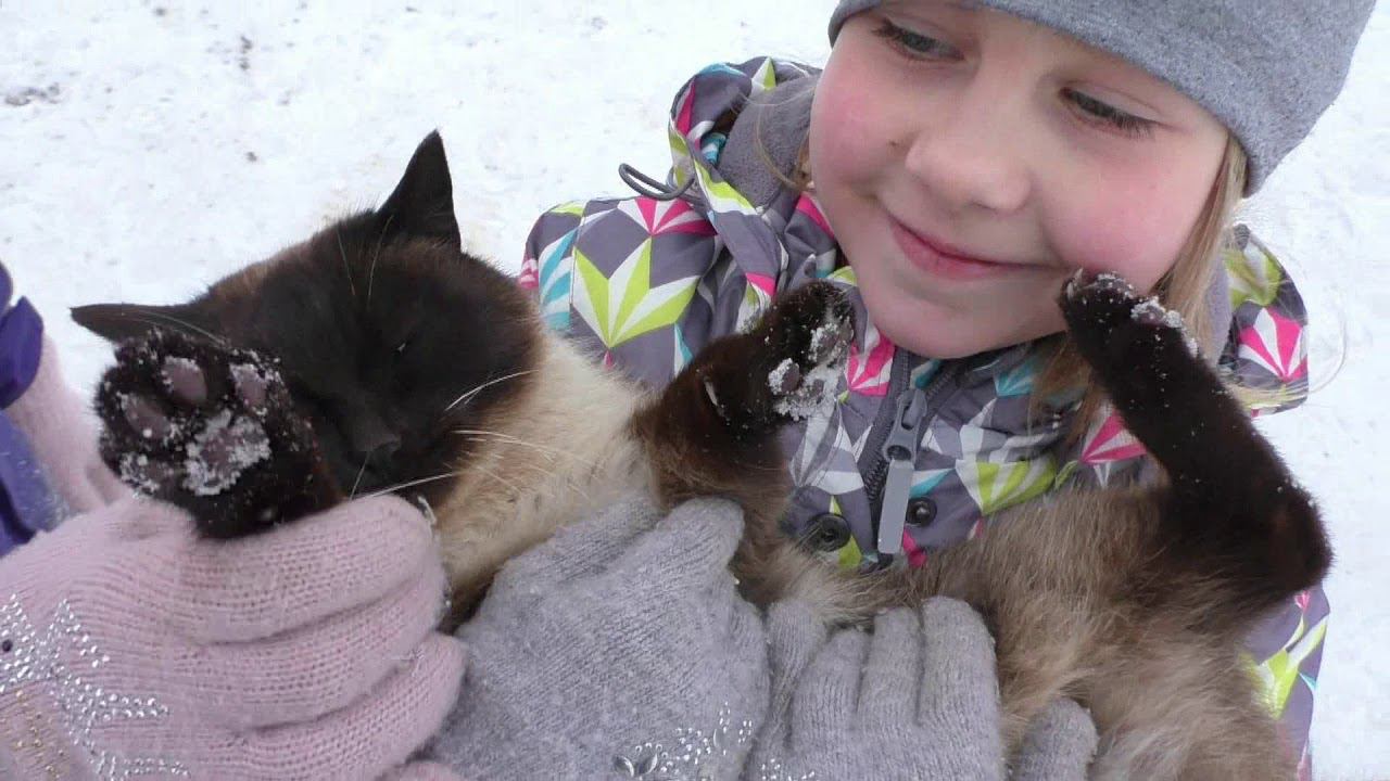 Лошадки и другие животные №8 https://youtu.be/i0Re_QLrGao