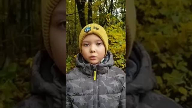 Кривцов Даниил. Славная осень