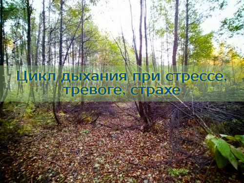Цикл дыхания при стрессе, тревоге, страхе