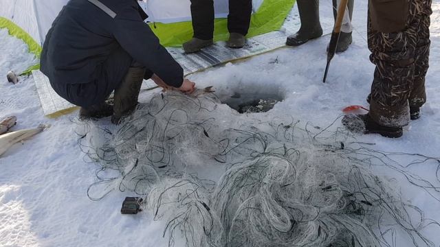 Зима на Новолукомле..mp4