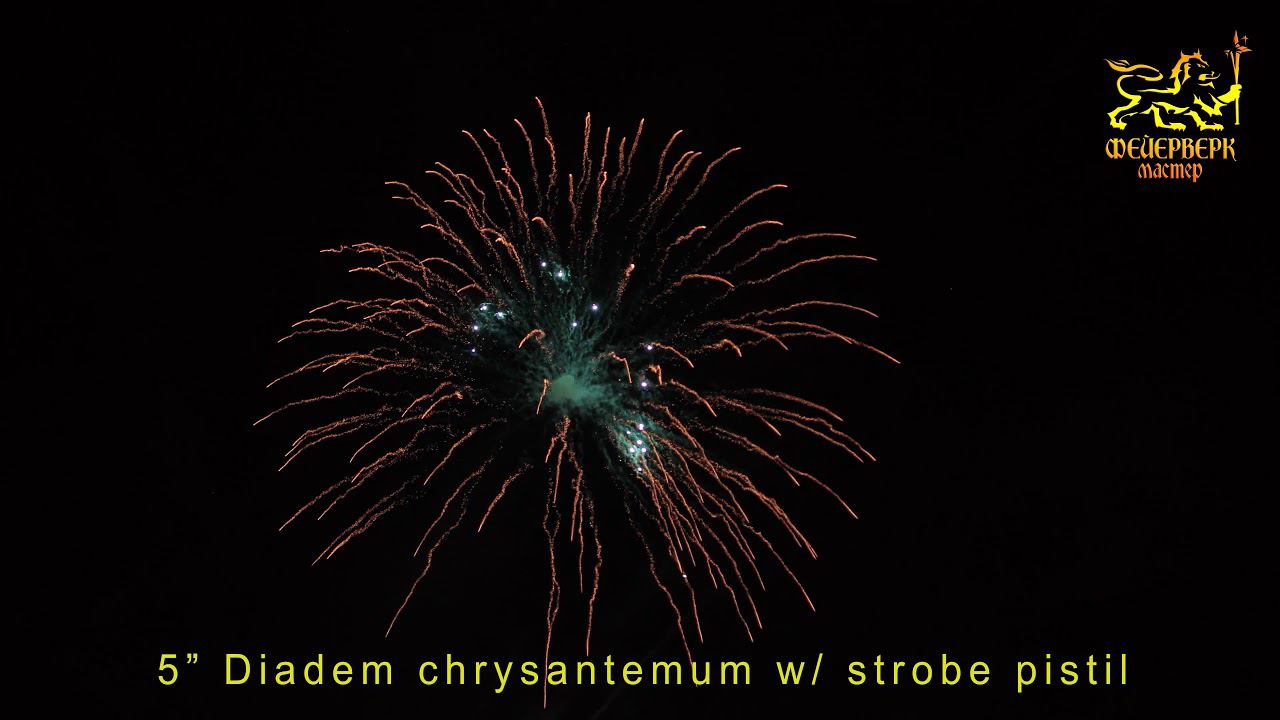 5" Diadem chrysanthemum w/strobe pistil