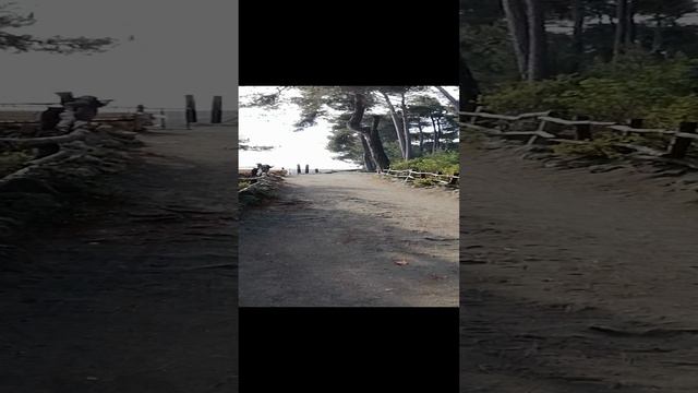 Прогулка до кафе АРГО