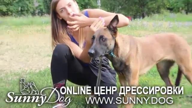 Учимся правильно показывать зубы