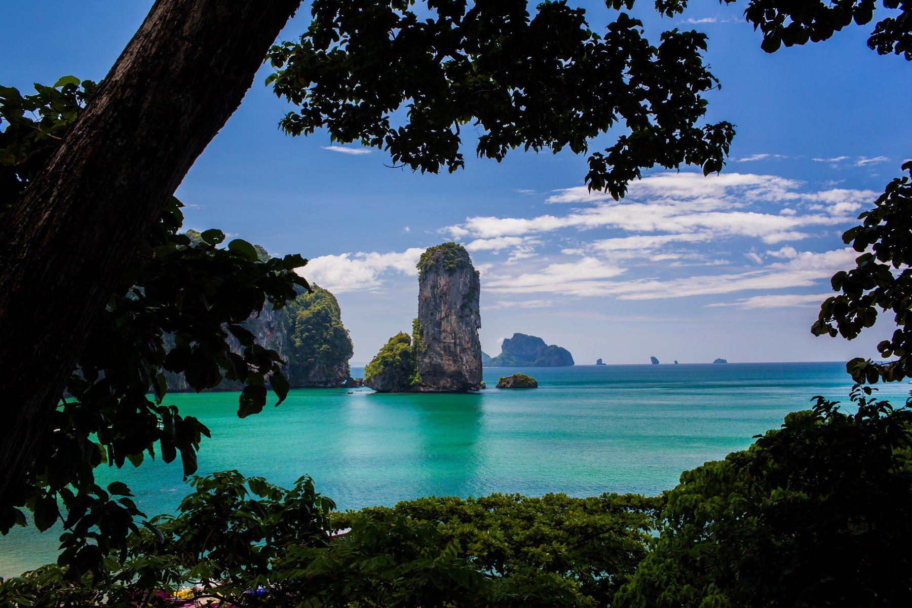 Boudi Aridi - Senorita (by Shawn Mendes _ Camila Cabello)