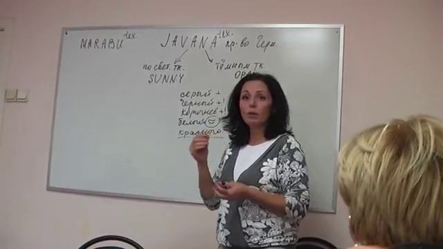 Тонировка мишек тедди.