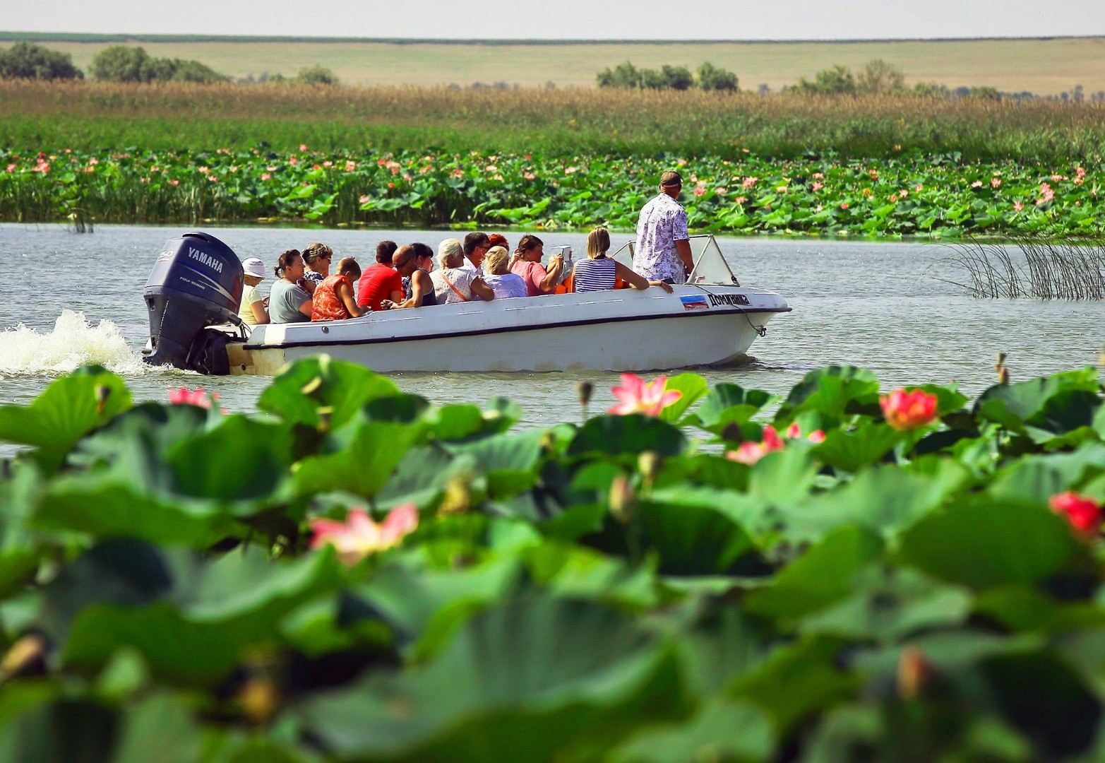 К ЛОТОСАМ с АДРЕНАЛИНОМ. АЗОВСКОЕ МОРЕ. ЗОЛОТОЙ Пляж. ВИННОЕ СПА. ОБЗОР И ЦЕНЫ. АНАПА 2021