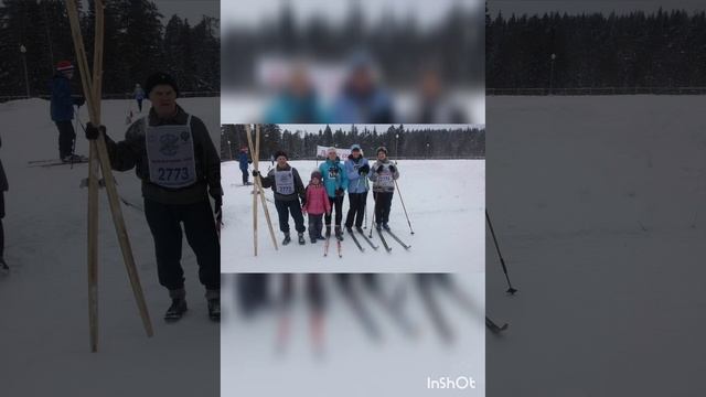 Силина Елена Геннадьевна