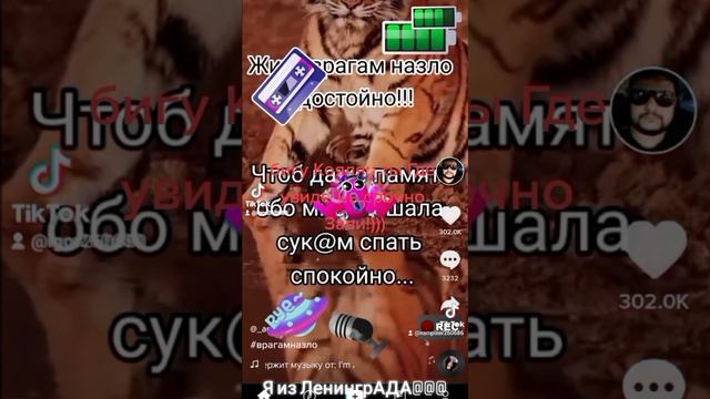 Без названия