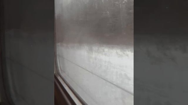 Конкурсная работа 3. "Художница"