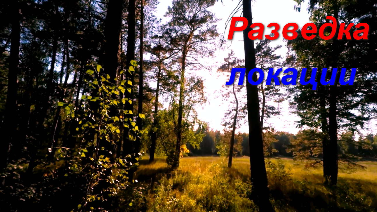 FPV Разведка локации