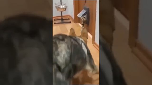 Пусть канает от сюда...