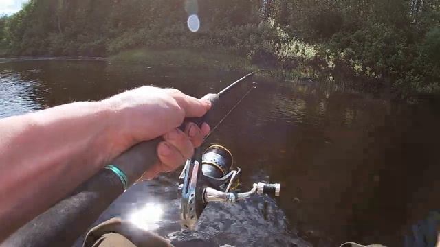 на какие блесна, я поймал окуня.