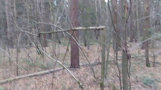 ОТПРАВИТЬ К ЛЕШЕМУ… ОТ ВРАГОВ… ОЧЕНЬ СИЛЬНО… ДЛЯ ВСЕХ… ВЕДЬМИНА ИЗБА