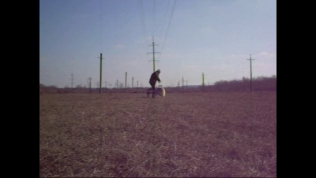 Фризби Вебстайл 2015  Ольга и Персик.mp4