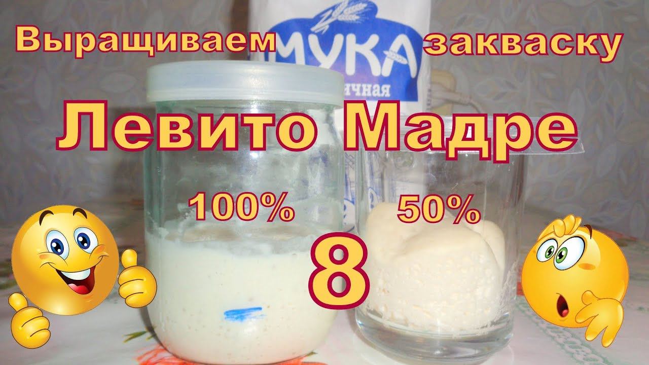 Закваска на винограде Левито Мадре. Часть 8. Мой эксперимент))