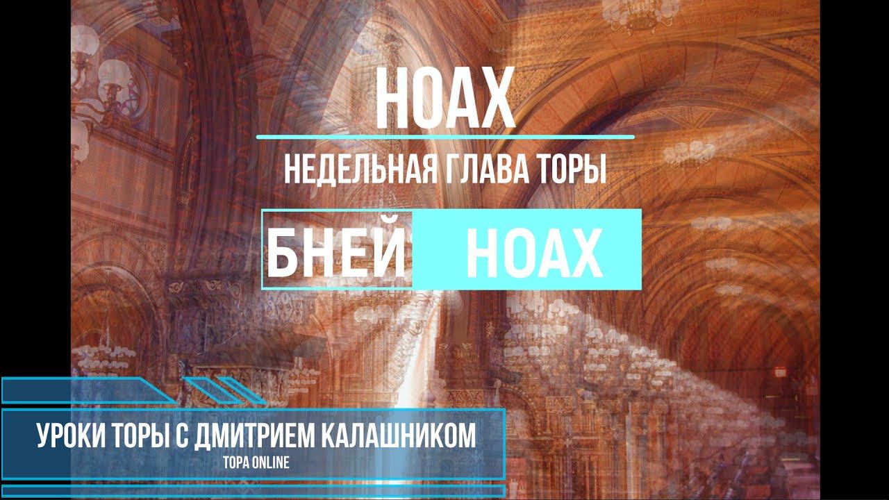 Недельная глава Торы "НОАХ" - уроки Торы 5781.