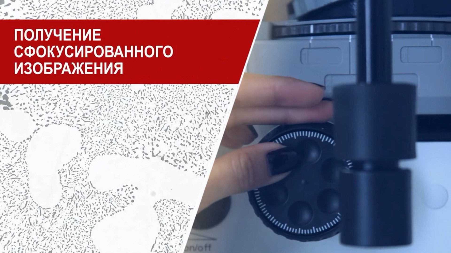 SIAMS800: Получение сфокусированного изображения