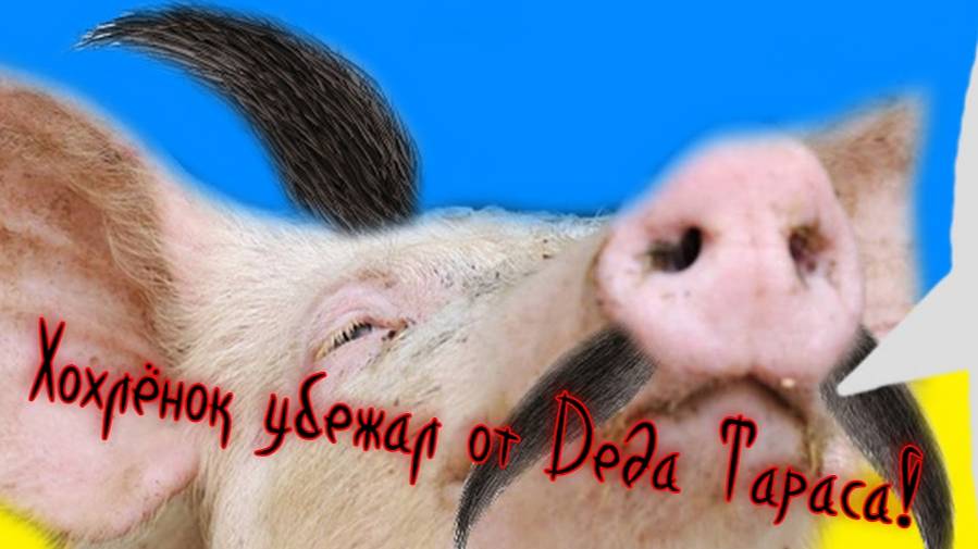 Хохленок-мошенник убежал....