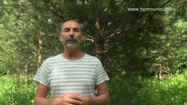 Энергетика питания.mp4