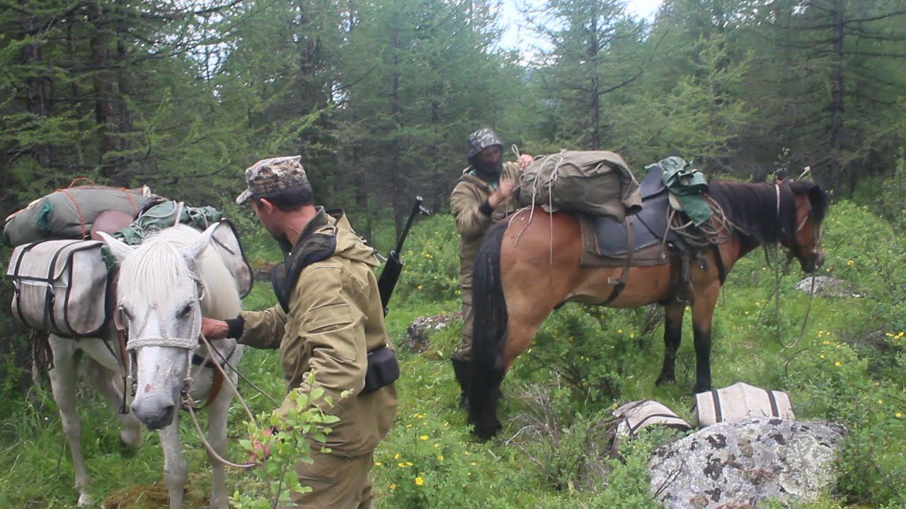 В путь. Конный маршрут летней экспедиции сотрудников Алтайского заповедника