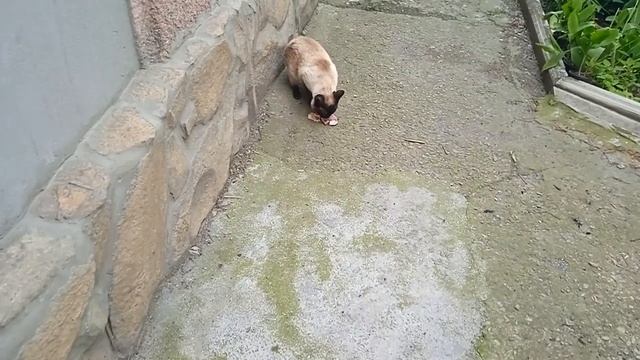 Жаркое по домашнему в казане. Пальчики оближешь