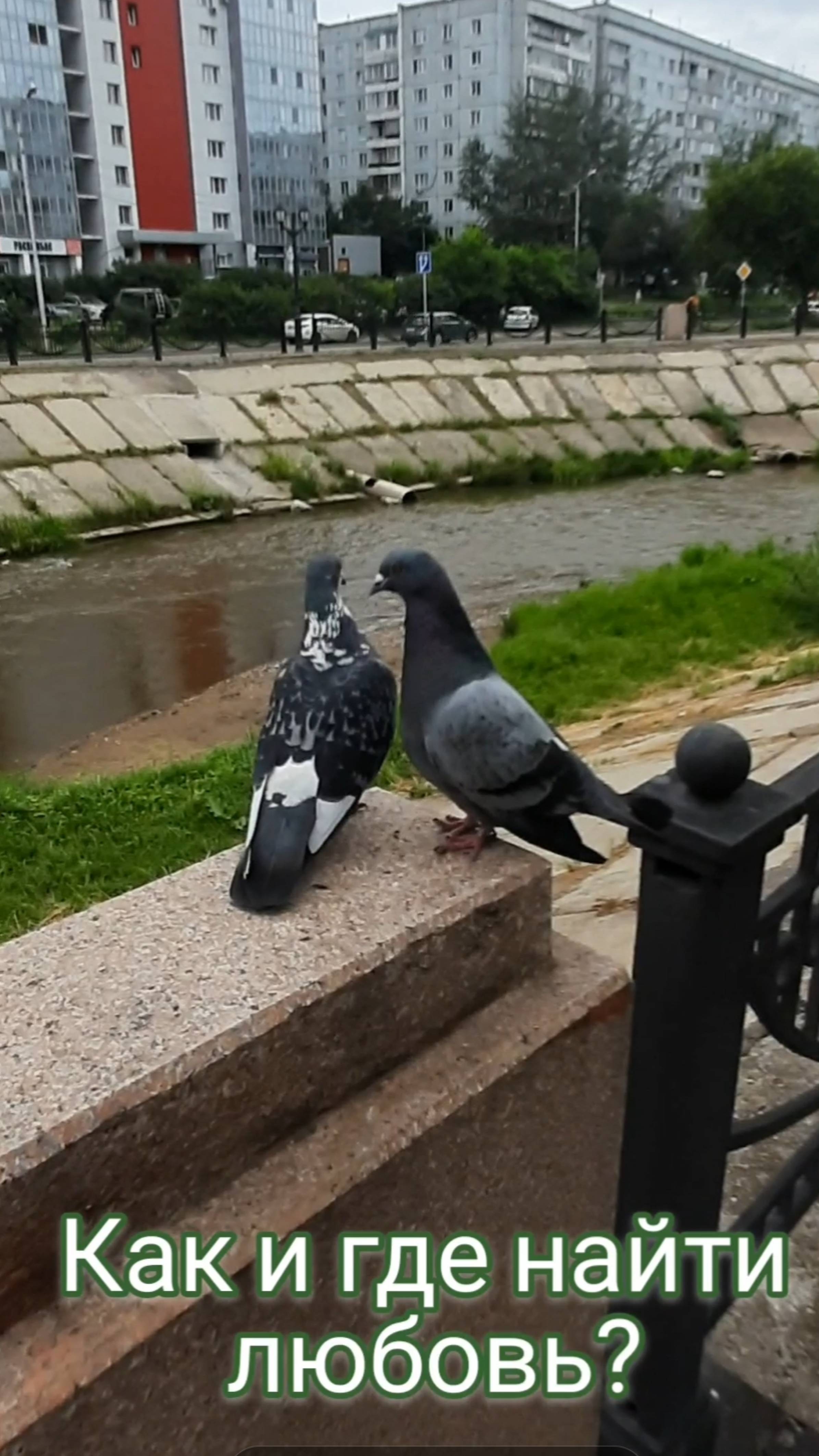 Как найти любовь?