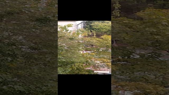 Снос дома ул. Никитинская, 19к3 VID_20230919_111119