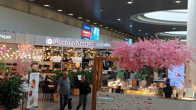 Аэропорт Пулково LED 05.07.2023 #airport #pulkovo