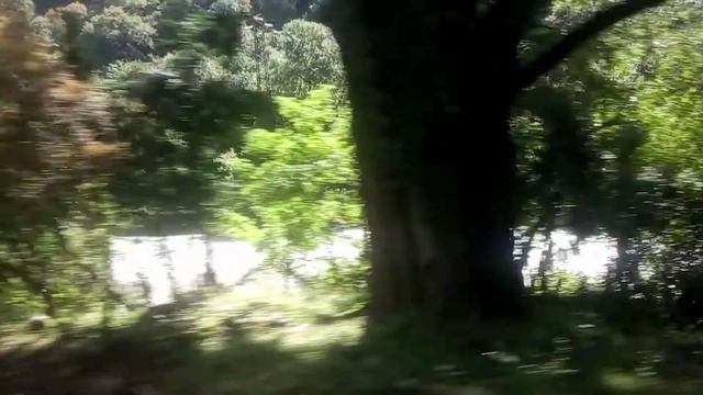 Мой отпуск в Абхазии !