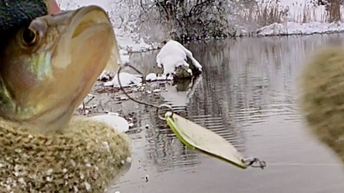 Приманки с АлиЭкспресс Которые Ловят Всё! Рыбалка на спиннинг на Блесна Колебалки