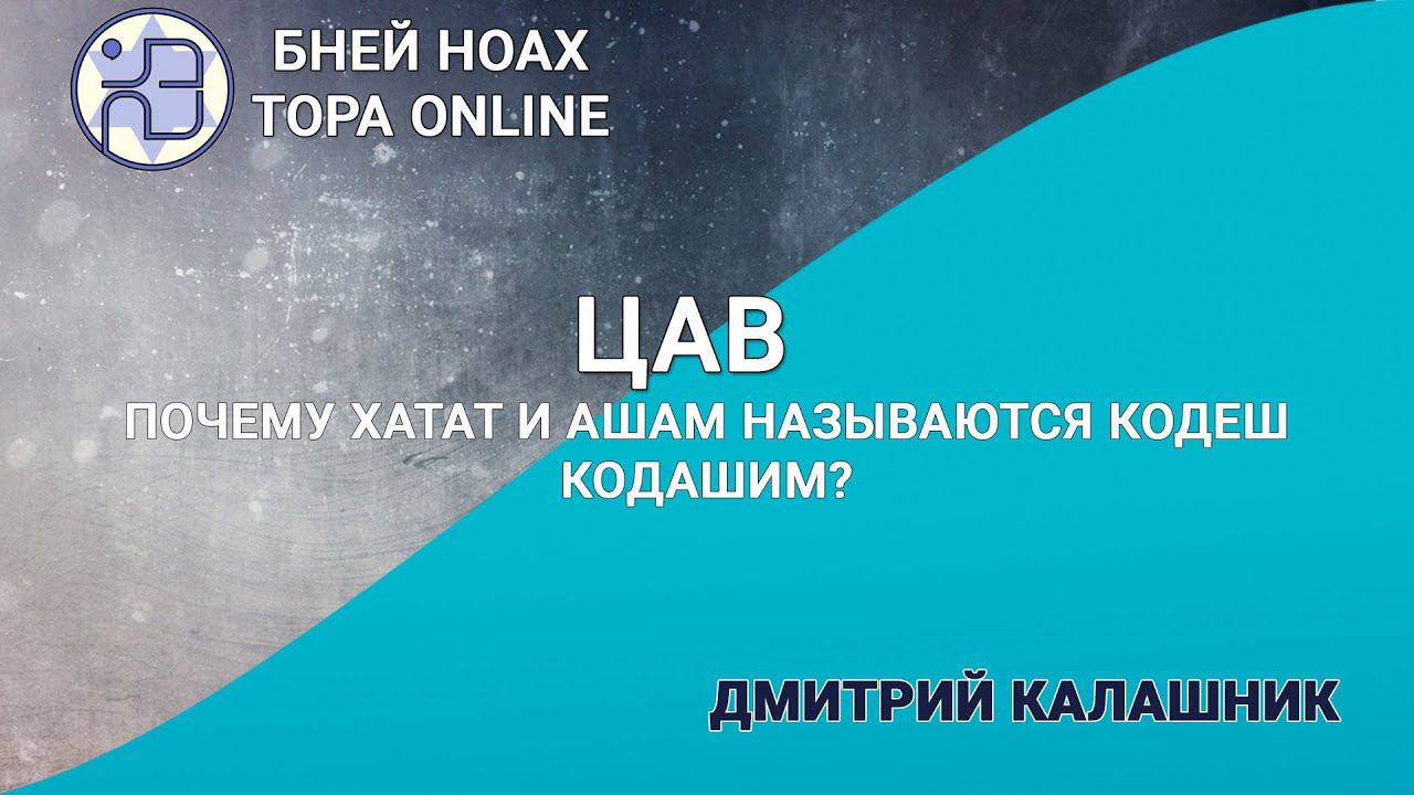Почему ХАТАТ и АШАМ называются Кодеш Кодашим? Недельная глава Цав