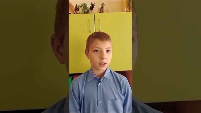 Терещенко Данил, 11 лет, Н.М. Рубцов "Про собак"