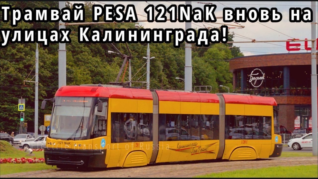 Трамвай PESA 121NaK вновь на улицах Калининграда!