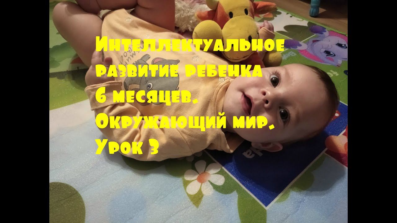Интеллектуальное развитие ребенка 6 месяцев. Окружающий мир. Урок 3