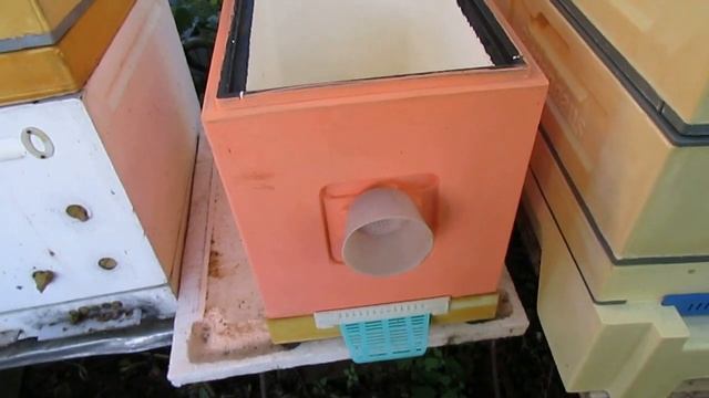 Улей Кука - вывелись матки , заселяю шести рамочные нуклеусы Биненхаус и Лысонь и отвожу на облетник