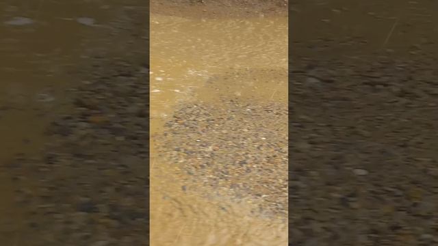 Ливень капает по лужам