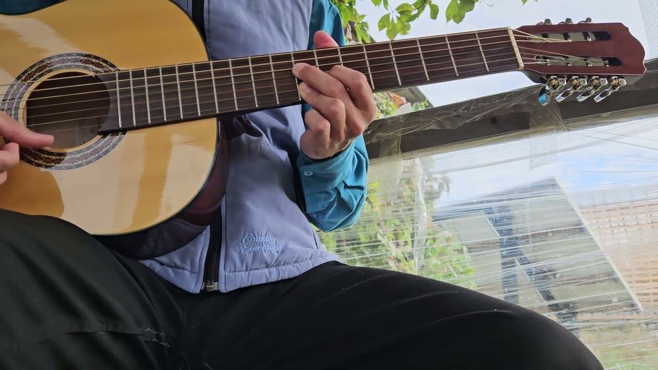 Юрий Визбор - Речной трамвай - кавер, аккорды на семиструнной гитаре, разбор - как играть.