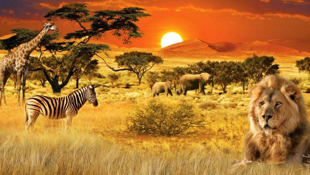 ГОРЯЧИЙ ПРИВЕТ ИЗ АФРИКИ. ВЕДЬМИНА ИЗБА. ИНГА ХОСРОЕВА.mp4