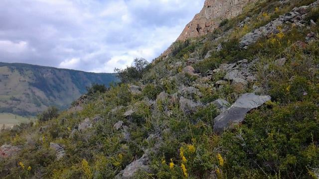 Наше маленькое покорение Алтайской горы...)))