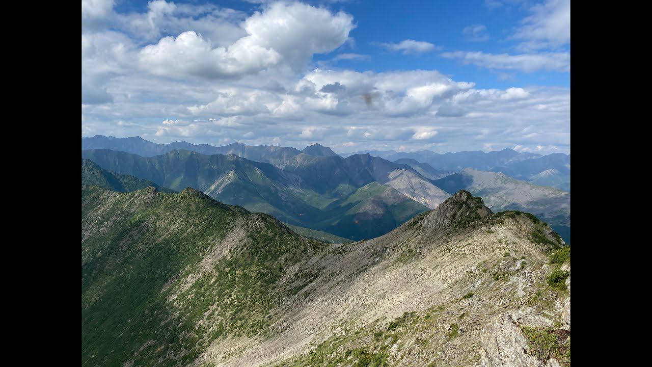 Встреча с Куланом в полнолуние