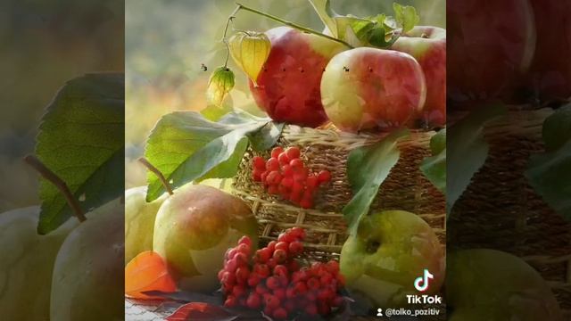 Яблочный Спас